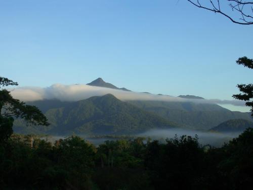Epiphyte B & B - Queensland