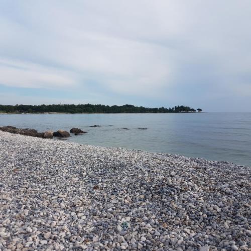 Beach Crnika - Novigrad - Istra - Croatia | Beachrex.com