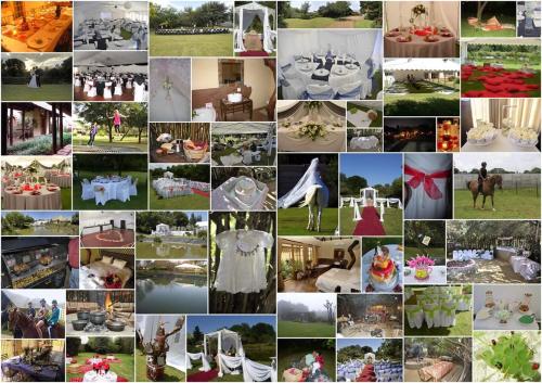 African Silhouette Guesthouse - Benoni