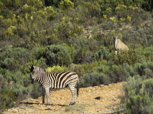 Bo Kouga Mountain Retreat in Garden Route District Municipality | 2025 ...