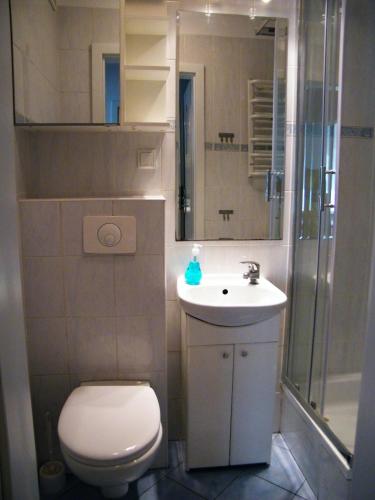 Bukowska Apartment - Poznań