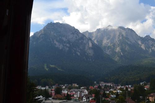Apartament Golden Rose - Bușteni