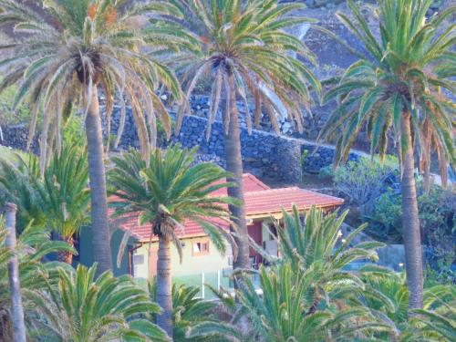 El Pirguan Holiday House, Your Oasis In La Gomera - La Gomera