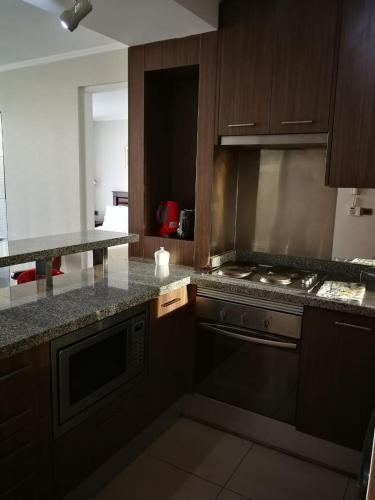 Austral Rentahome Republica Arabe De Egipto - Las Condes