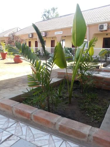 Jazaka Lodge Chiponde, Mangochi - 2020 Reviews, Pictures & Deals