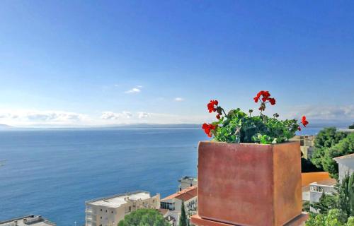 Fantastico Studio, Vista Mare, 5mn Dalla Spiaggia - Casa Artevida - Roses