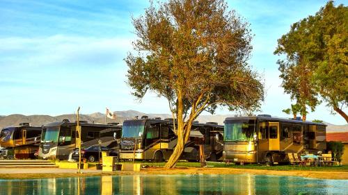 14 Best Luxury RV Resorts In and Near Palm Springs, California | Trip101