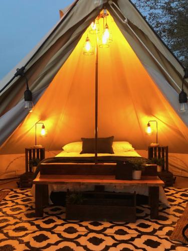 21 Best Spots For Glamping In Florida, USA - Updated 2024 | Trip101