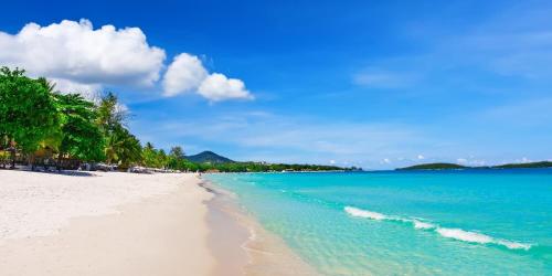 Ko Samui Tourism, Thailand | Ko Samui Travel Guide & Tips: Triphobo