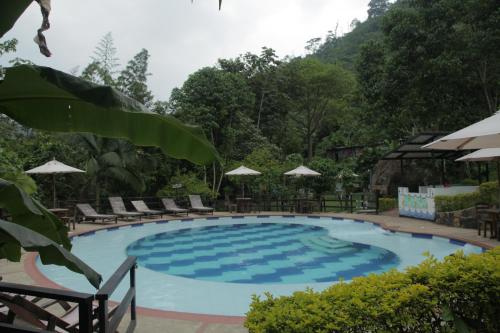 HOTEL LA SELVA Reserva | - Venue Report