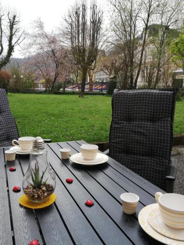 Schmaranzer - Bad Ischl