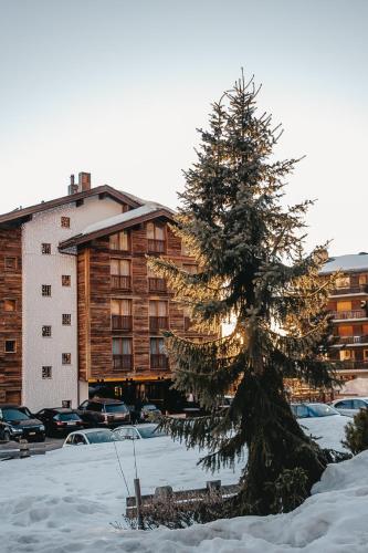 4 Best Eco Luxury Hotel In Switzerland - Updated 2024 | Trip101