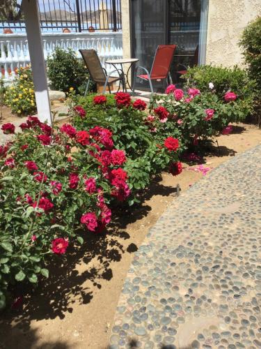 Americas Best Value Inn and Suites -Yucca Valley - Yucca Valley, USA ...