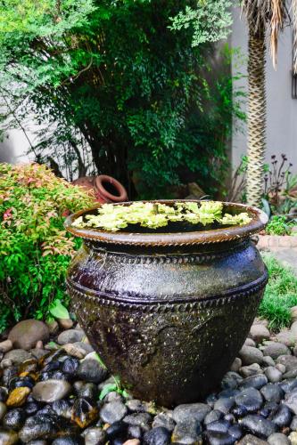 Bali Biasa Guesthouse - Mkhondo