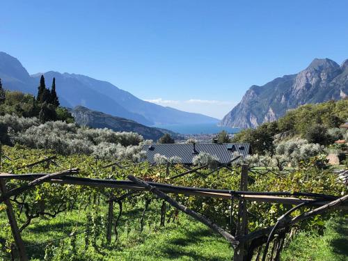 Da La Babi B&b - Arco