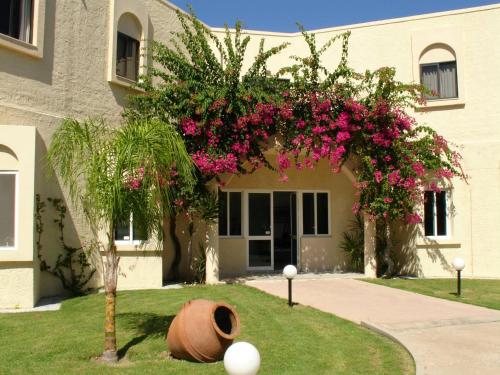 Best Hotels to Stay in Socotra