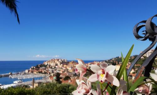 Adelebeppe "The Seaview" - Imperia