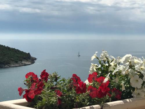 Apartments Blue Heaven - Ulcinj, Montenegro - Updated 2026: Prices and ...