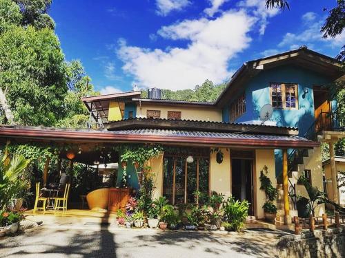 Best Places To Stay In Ella Sri Lanka | Adventure and Sunshine