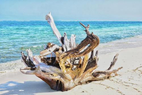 Vipingo Ridge-Swahili Villa in Mombasa, Kenya - reviews, price from ...