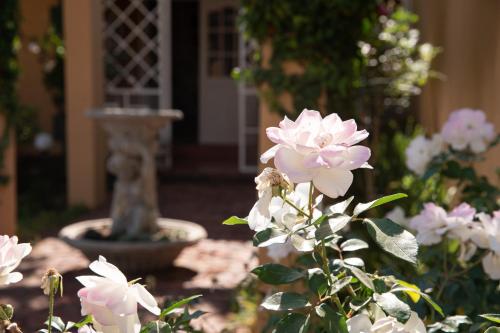 Roses And Pebbles B & B Guest House - Klerksdorp