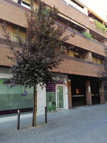 Suenos Mozarabes - Córdoba