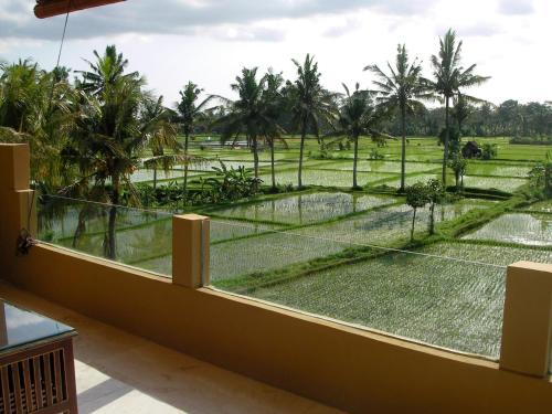 5 Ubud Hotel With Unbelievable Rice Field Views - Updated 2023 | Trip101