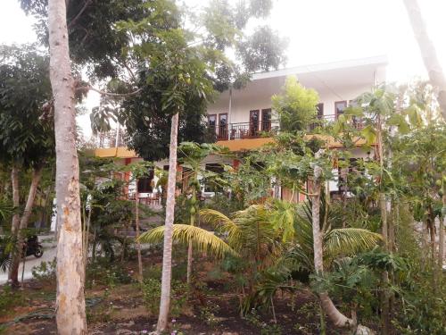 5 Best Homestays In Labuan Bajo, Indonesia - Updated 2024 | Trip101