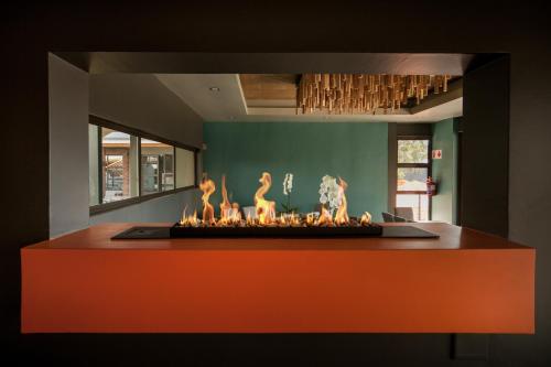 Letaba Junction Lodge in Letsitele, South Africa - 20 reviews, price ...