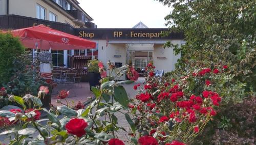 Ferienwohnung Poeler Mowe - Insel Poel