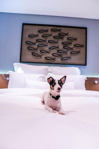 Coro Hotel, Manila | 2026 Updated Prices, Deals