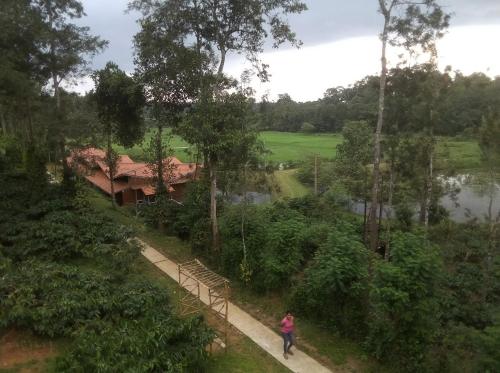 11 Best Hotels in Coorg, India