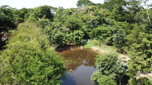 Recanto Na Floresta - Amazonas (estado)