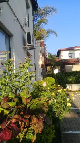 Pits Lodge in Polokwane, South Africa - reviews, prices | Planet of Hotels