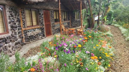 11 Best Hotels in Nyeri, Kenya