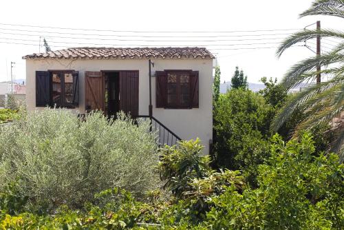 Avli-the Courtyard - Cyprus