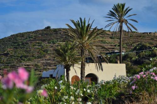 Radyshams Dammusi Le Palme & Bait - Pantelleria