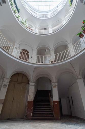 Comfort As Usual - Bari