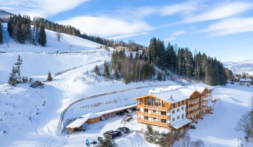 Skylodge Alpine Homes - Schladming