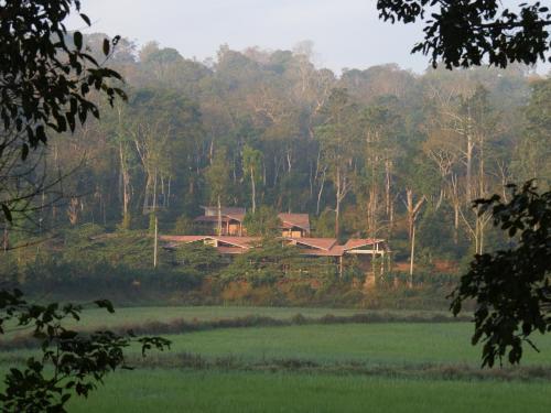 11 Best Hotels in Coorg, India