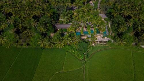 Best 8 Hotels With Unbelievable Rice Field Views In Ubud, Indonesia ...