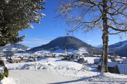 Living Apartment - Hittisau