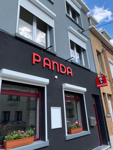 Panda Stella - Flanders