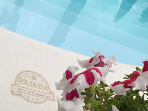 Cridda Hotel & Restaurant - Calabre