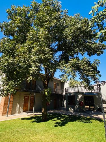 Letaba Junction Lodge in Letsitele, South Africa - 20 reviews, price ...