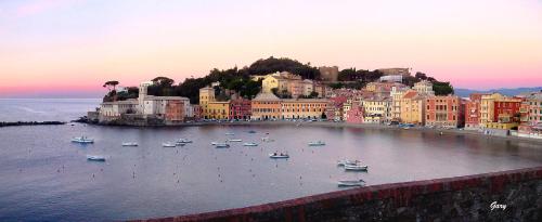 Girasole76 - Sestri Levante
