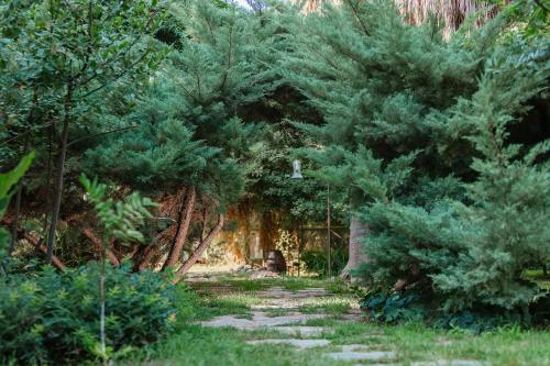 Olympos Lodge - Cıralı, Turkey - Updated 2026: Hotel prices and reviews ...