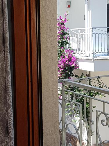 Case Vacanze Santa Lucia - Cirò Marina