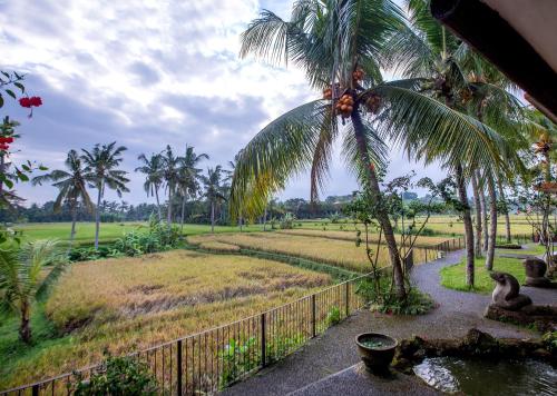 Best 7 Hotels With Unbelievable Rice Field Views In Ubud, Indonesia ...