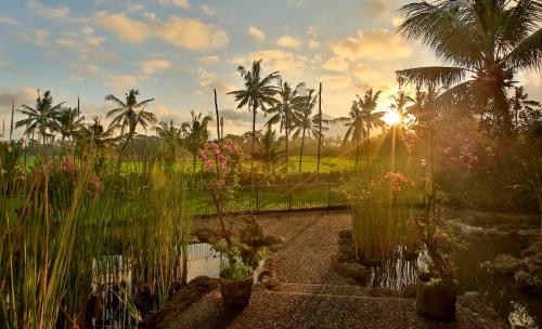 Best 7 Hotels With Unbelievable Rice Field Views In Ubud, Indonesia ...